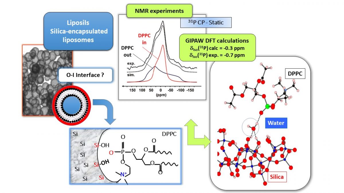 Christel GERVAIS – LCMCP